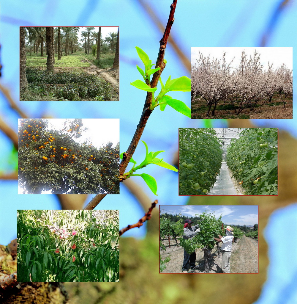 Having a long period of experience in agricultural engineering services ...